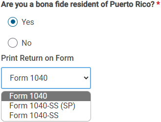 ProWeb: Form 1040-SS – Support